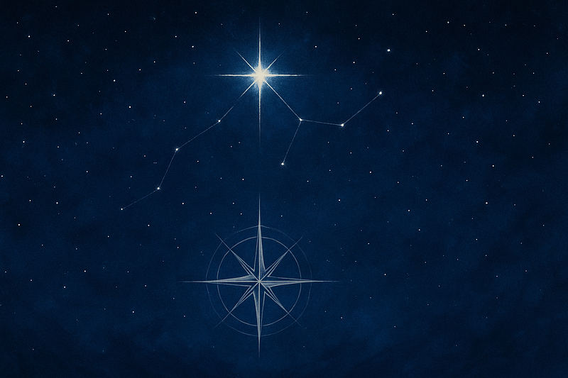 Discovering Your Personal North Star: Designing a Roadmap for ...